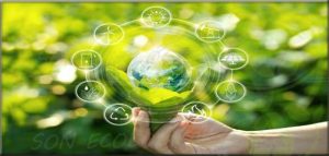 Qué es la Biocapacidad y su relación con la huella ecológica